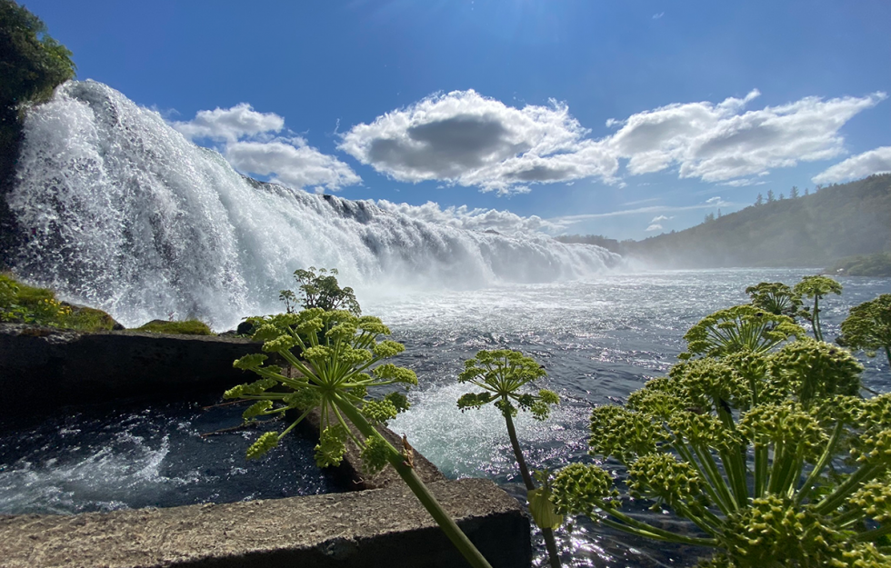 Icelandic Adventure Series | Trip to Iceland | EarthScaper | Travel